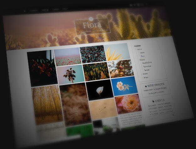 jAlbum - Free Photo Gallery Website Software